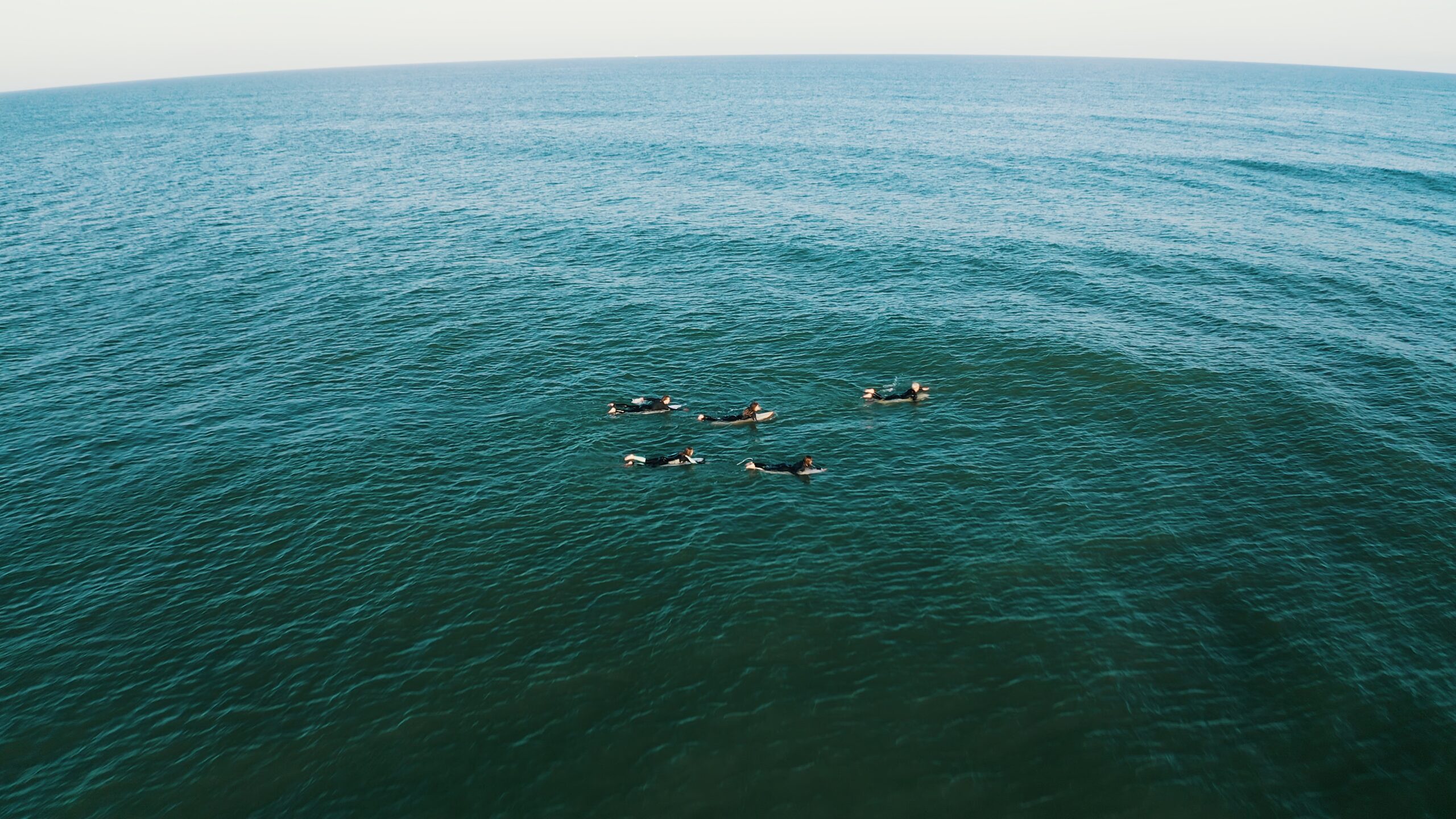 Algemene voorwaarden | Ripstar